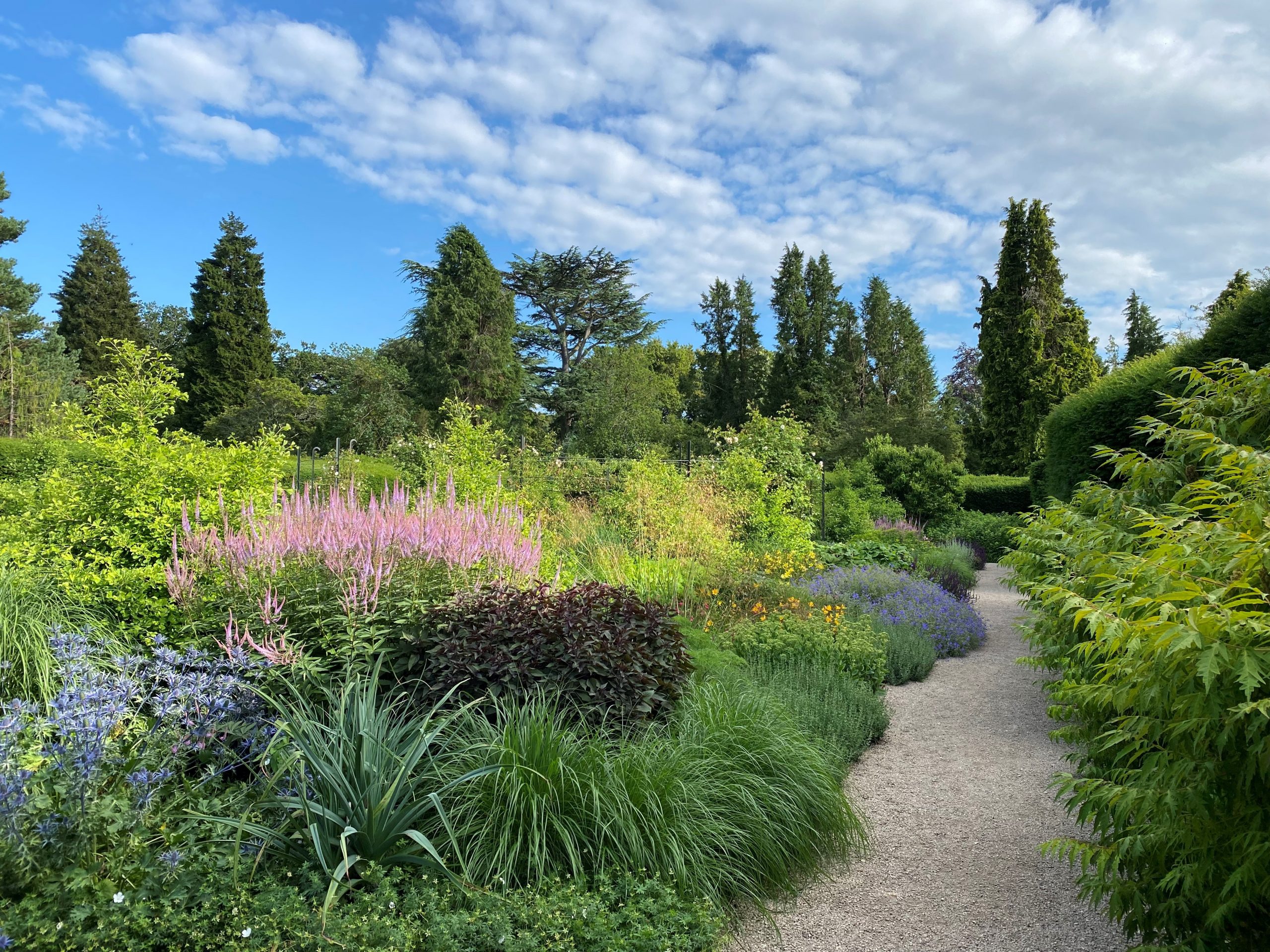 Middleton Advice paper: Hidden assets: what's hiding in plain sight ...